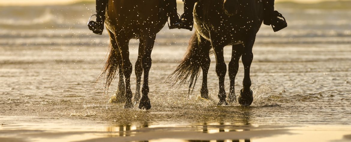Horseback Riding on the Outer Banks: All You Need to Know - Paramount ...