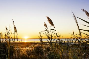 How the Mid-Currituck Bridge Will Affect Your OBX Vacation | PD